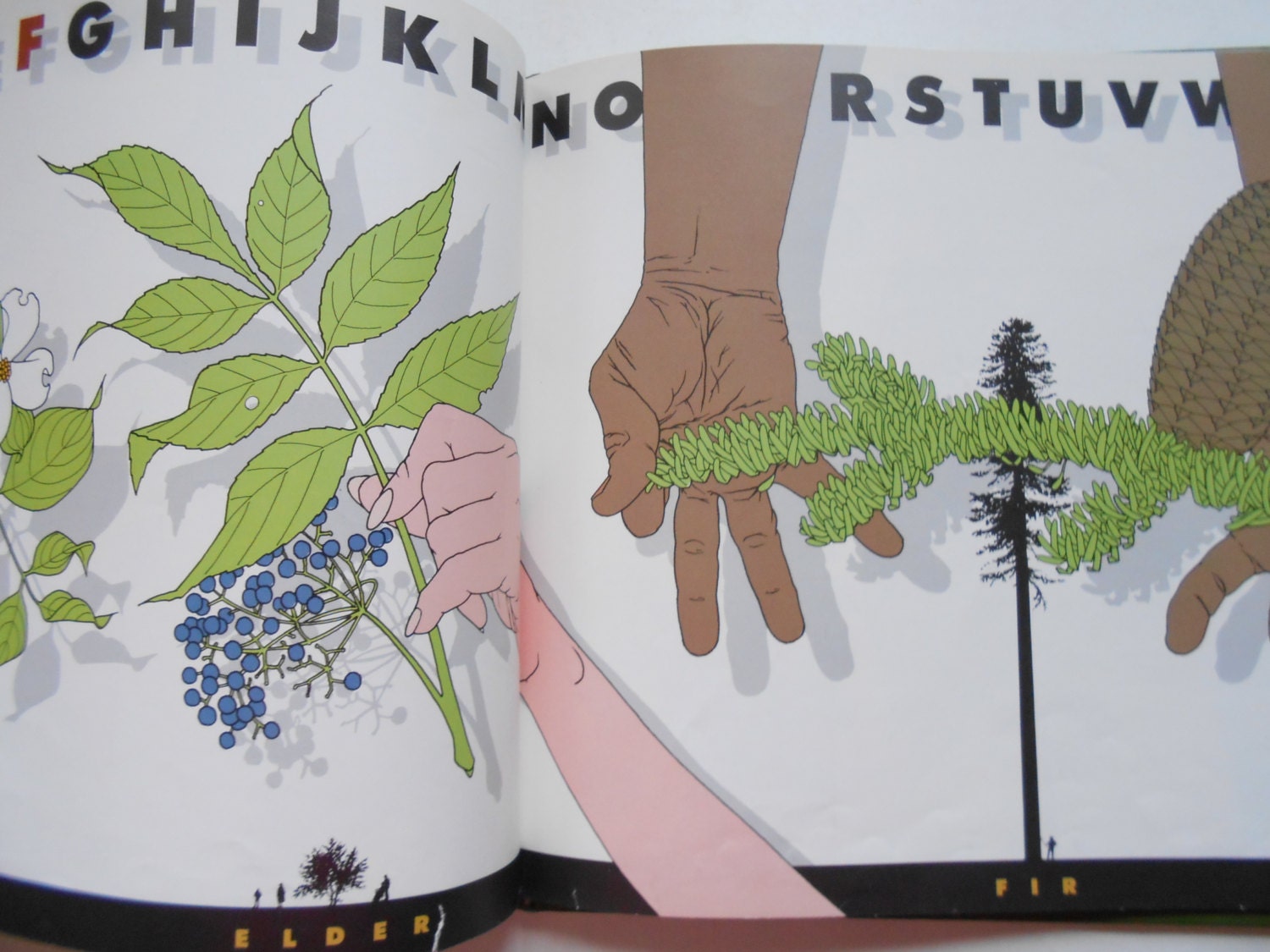 A B Cedar, an Alphabet of Trees, a Vintage Children's ABC Book - Etsy