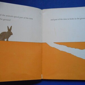 Up Above and Down Below, a First Book About Plants, a Vintage Children ...