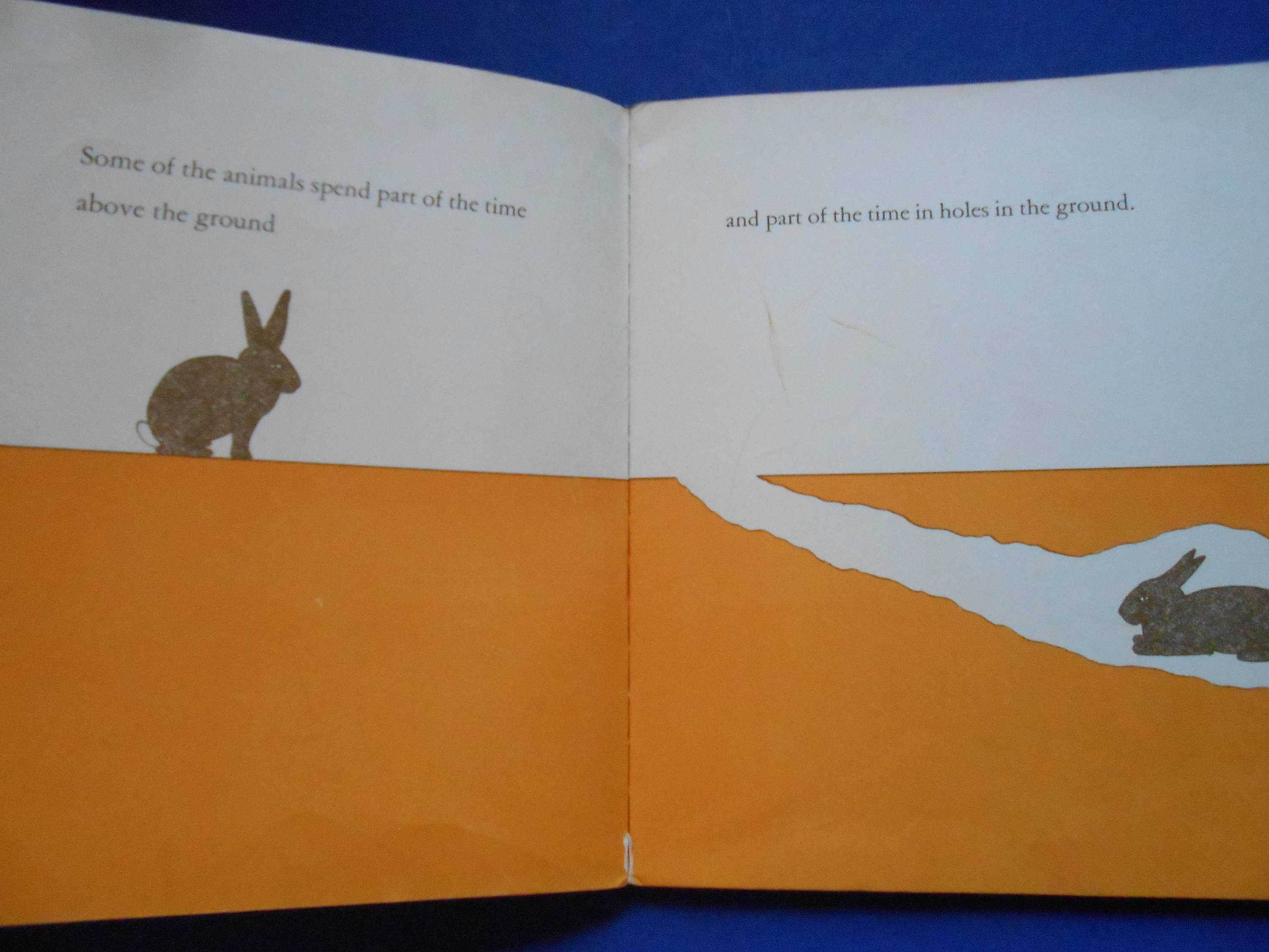 Up Above and Down Below, a First Book About Plants, a Vintage Children ...