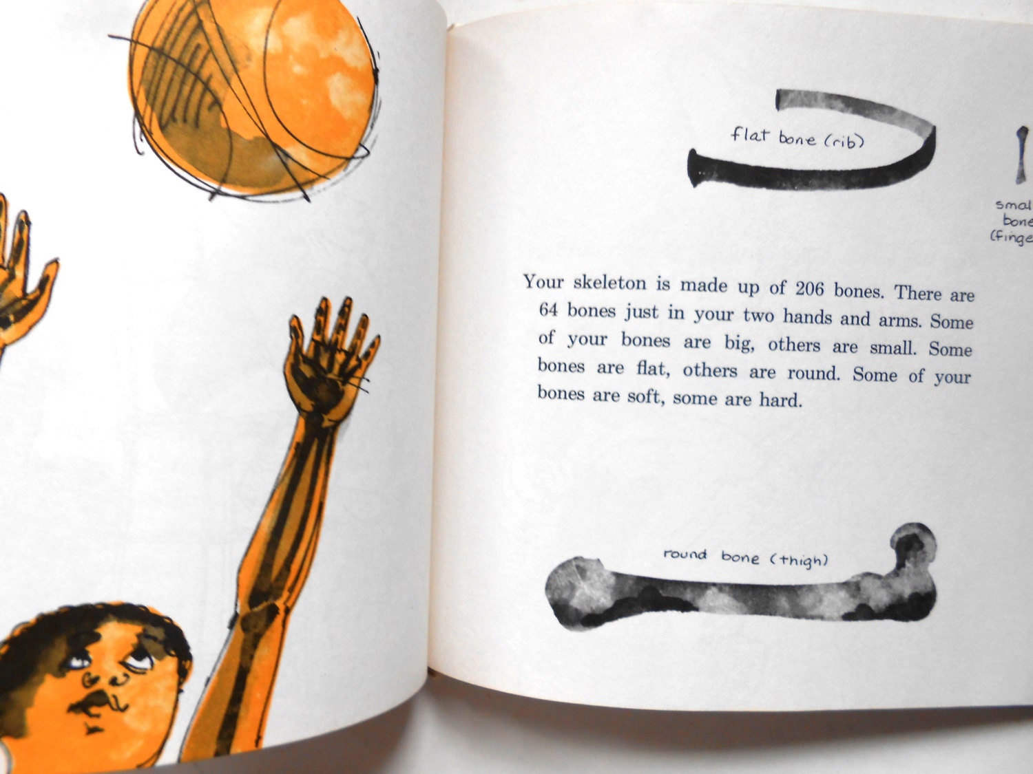 The Skeleton Inside You, a Vintage Children's Book - Etsy
