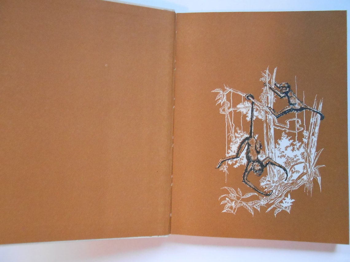 All About Monkeys a Vintage Children's Book - Etsy