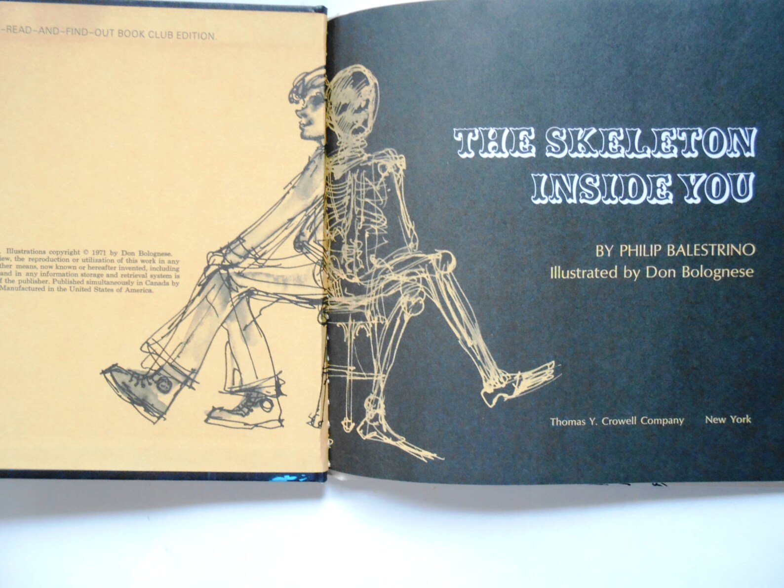 The Skeleton Inside You, a Vintage Children's Book - Etsy