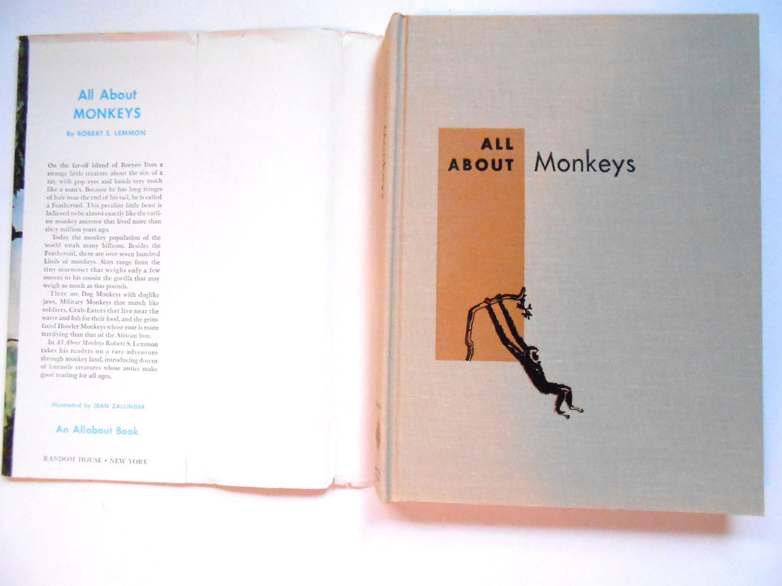 All About Monkeys a Vintage Children's Book - Etsy