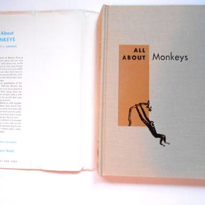 All About Monkeys, a Vintage Children's Book - Etsy