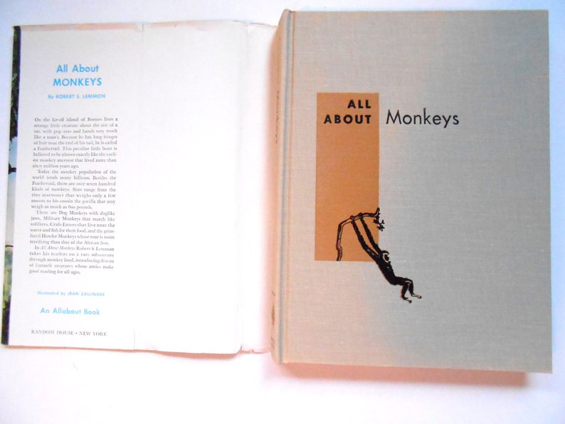 All About Monkeys, a Vintage Children's Book - Etsy