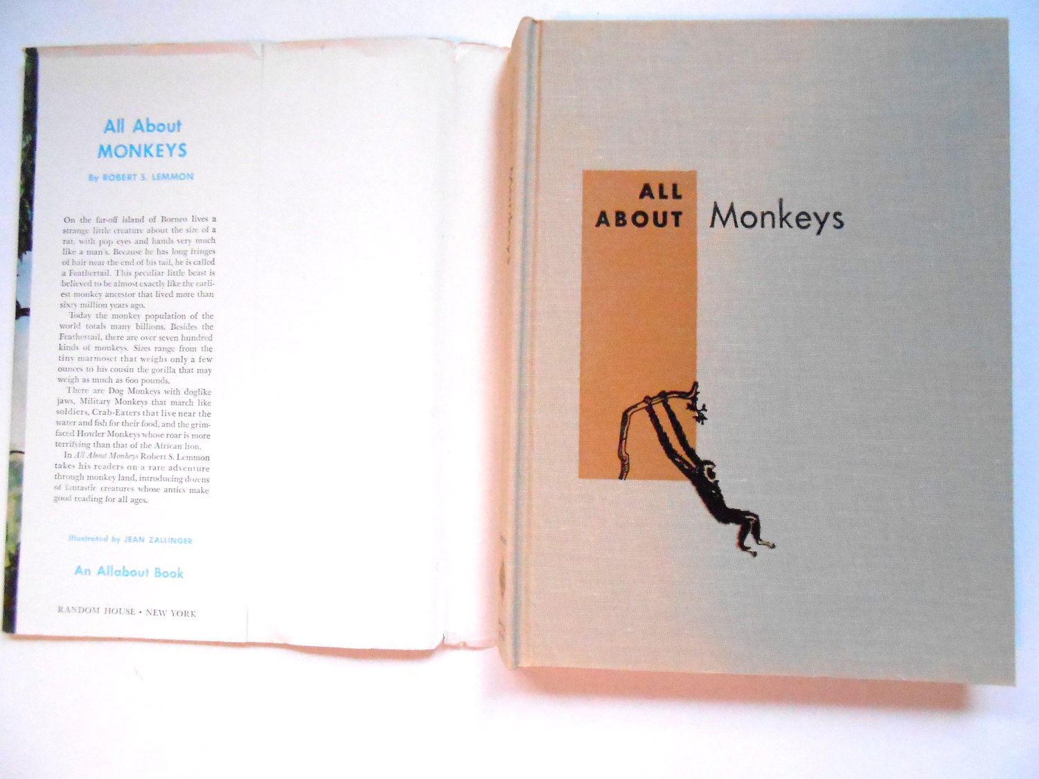 All About Monkeys, a Vintage Children's Book - Etsy