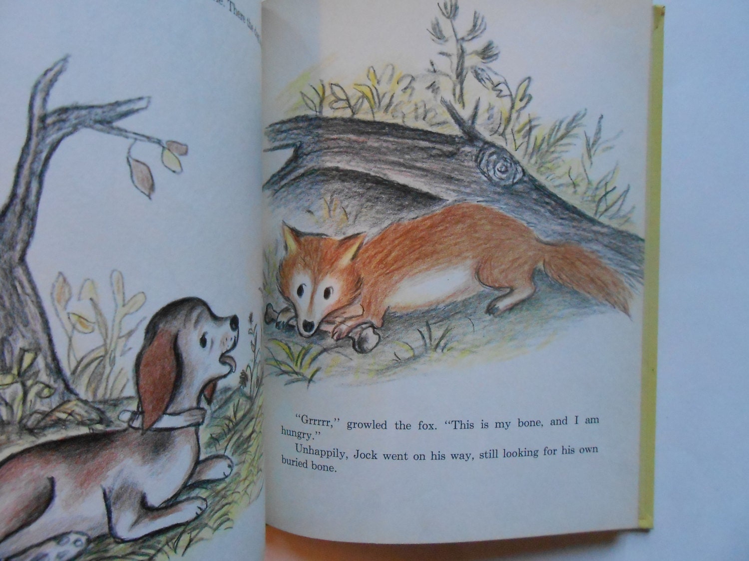 The Hungry Book a Vintage Children's Picture Book by - Etsy