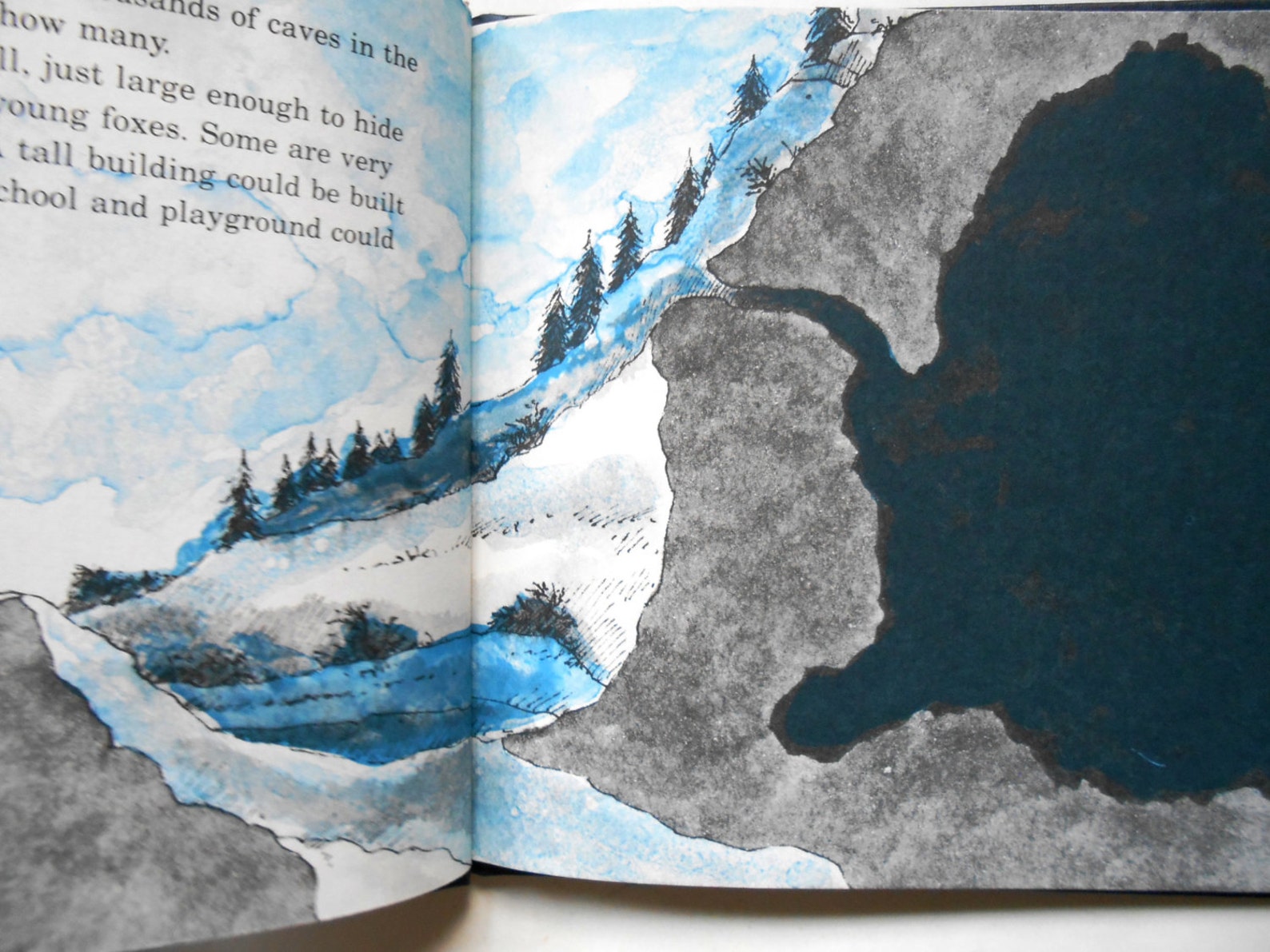 Caves, a Vintage Children's Book by Roma Gans - Etsy