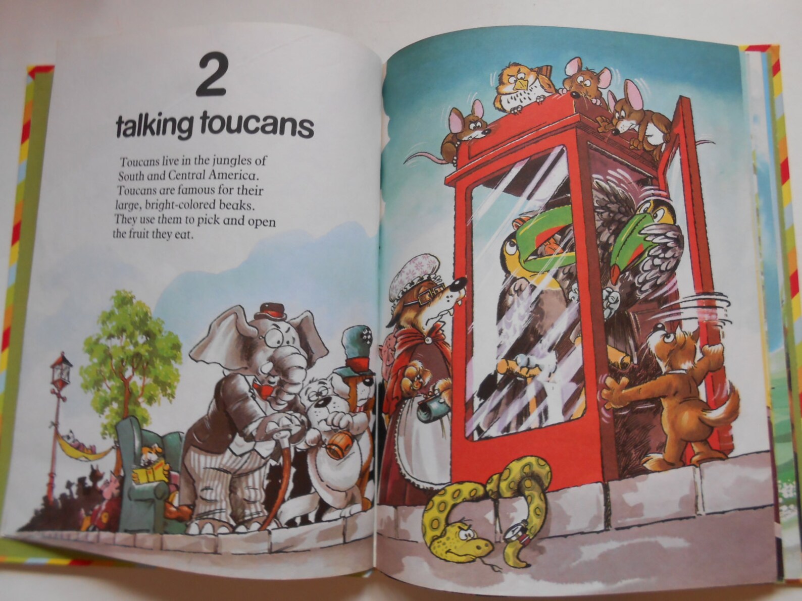 Animals 1 2 3, a Vintage Children's Counting Book - Etsy