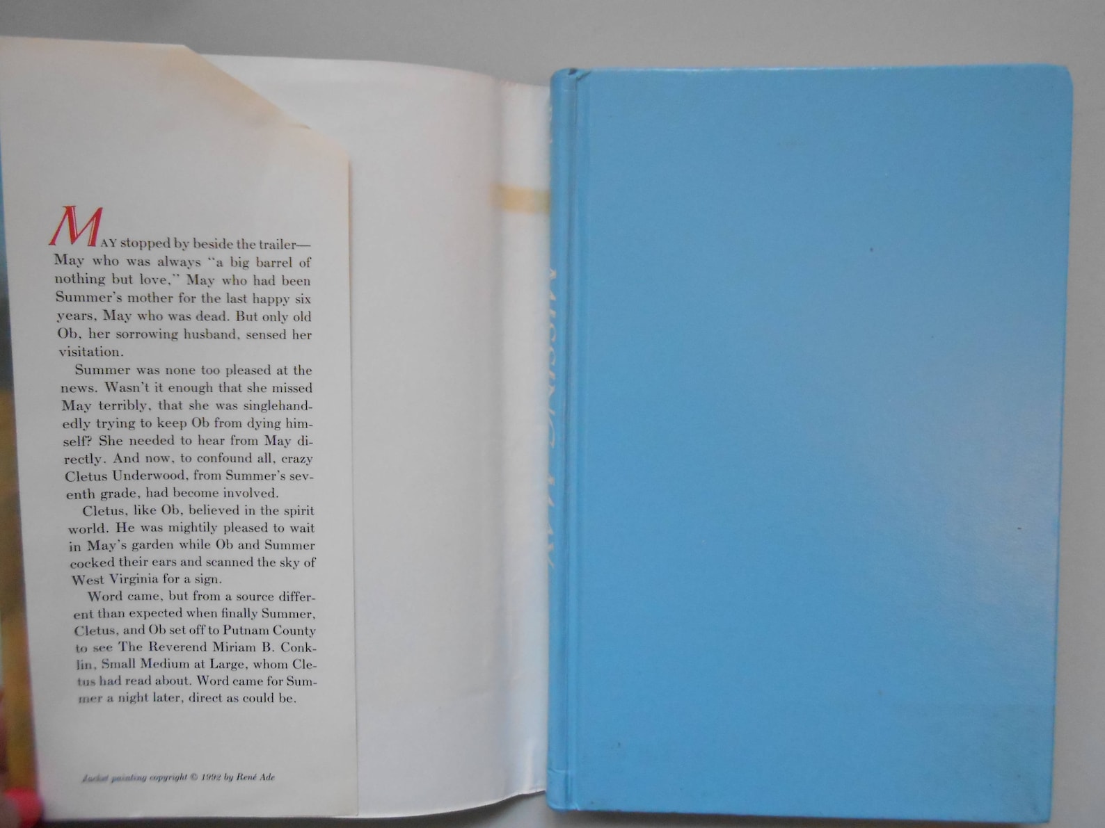 Missing May, a Vintage Children's Book by Cynthia Rylant - Etsy