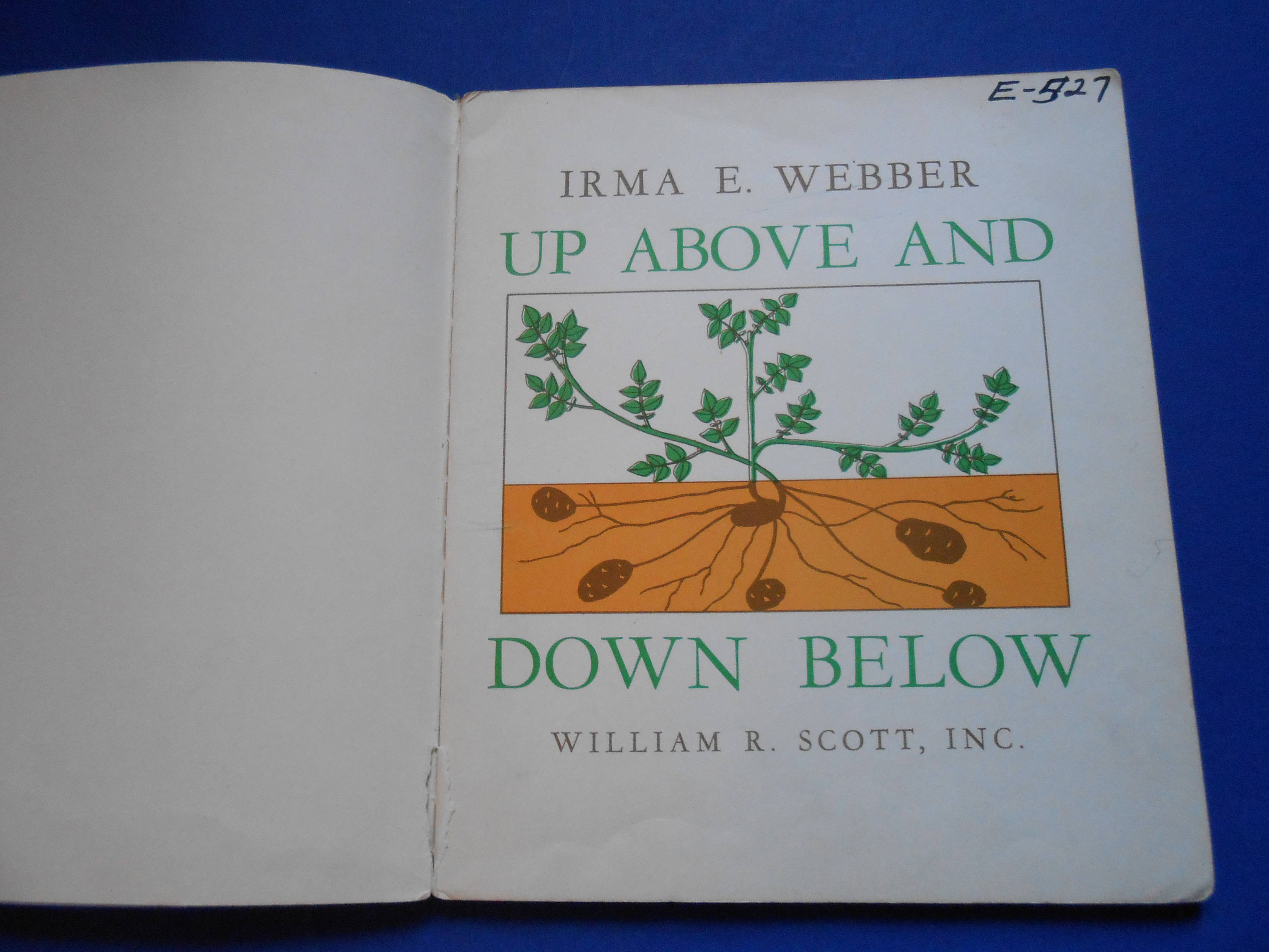 Up Above and Down Below, a First Book About Plants, a Vintage Children ...
