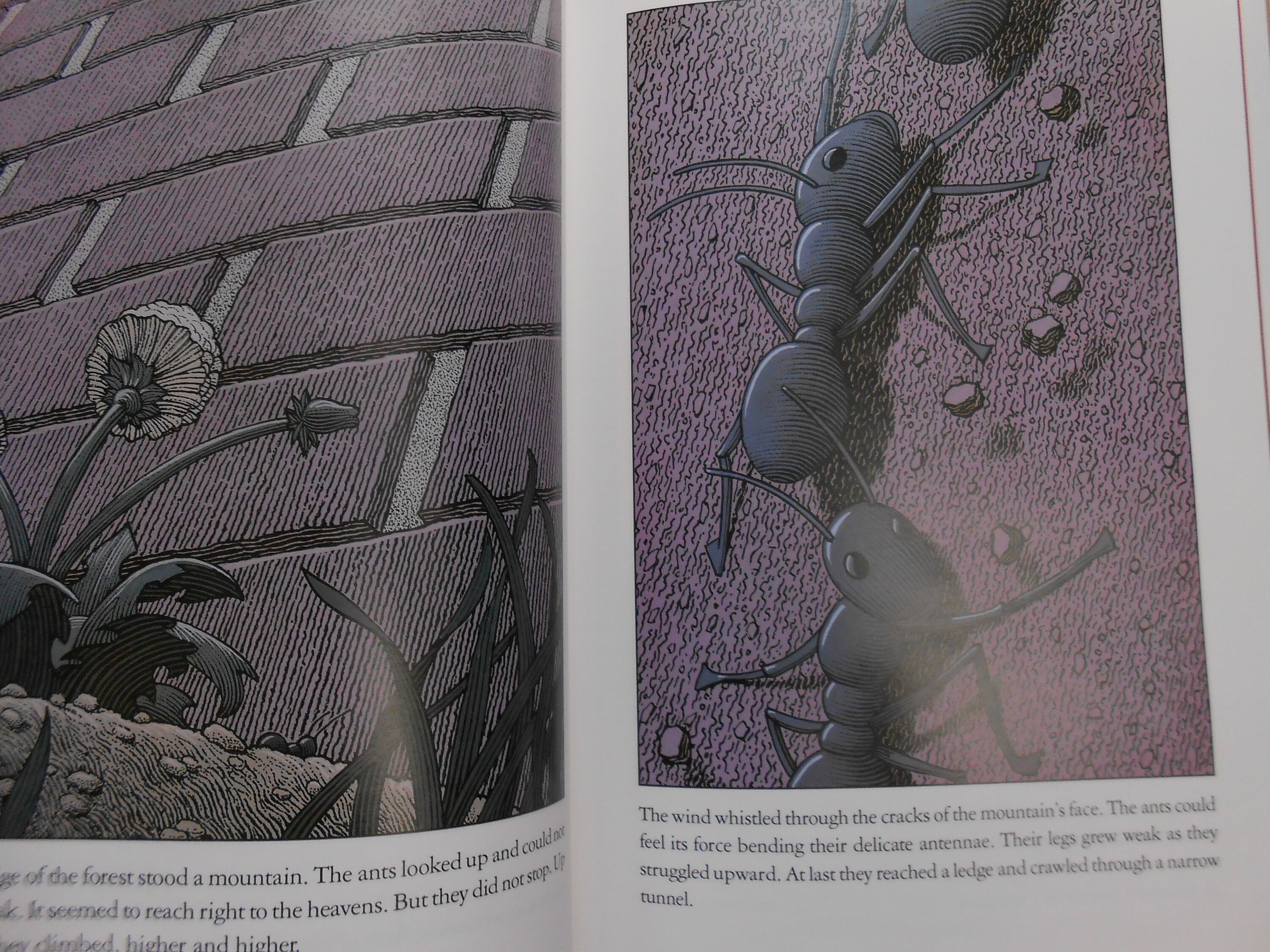 Two Bad Ants, a Vintage Books by Chris Van Allsburg, 1988 - Etsy