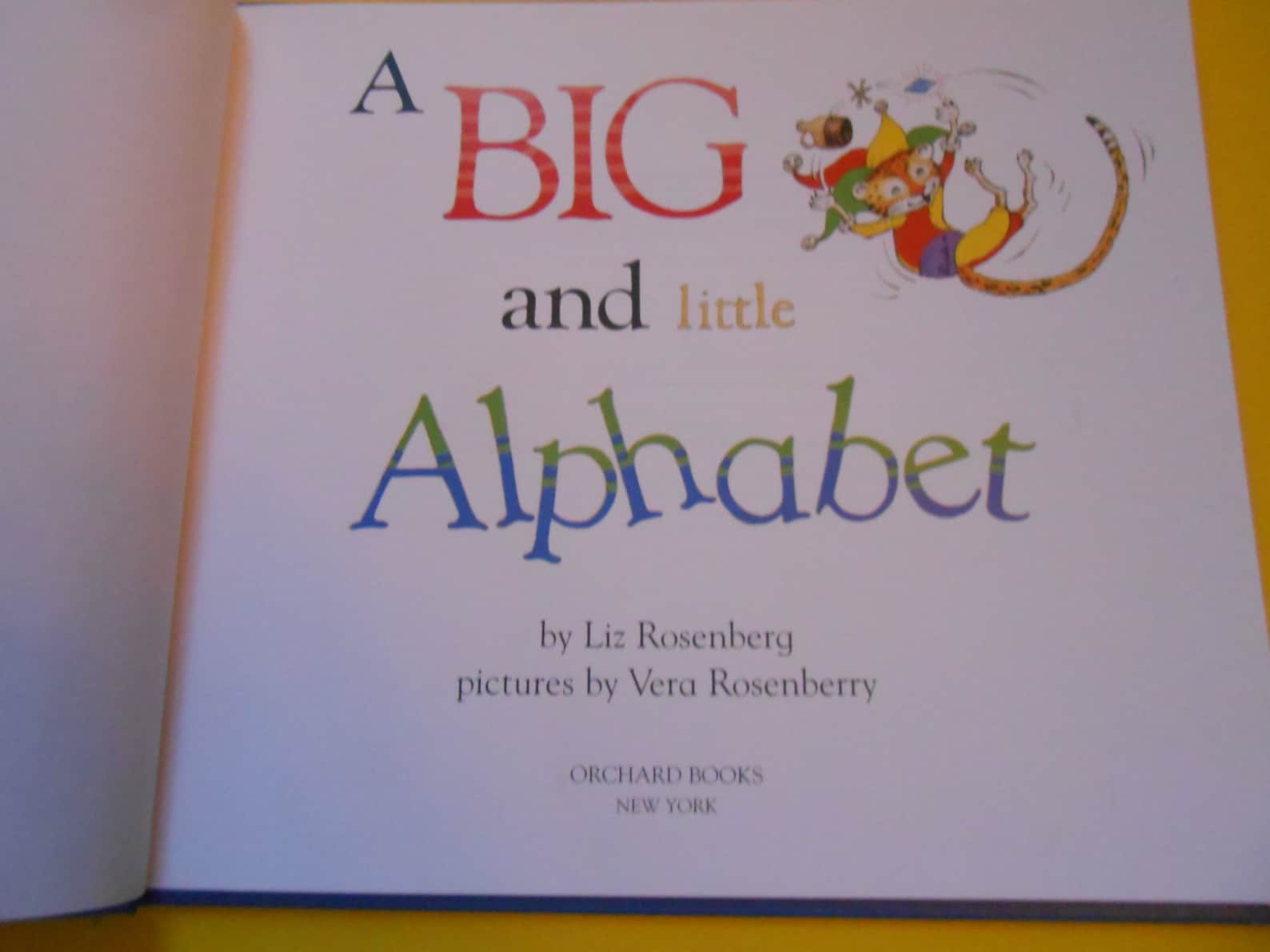 A Big and Little Alphabet, a Vintage Children's ABC Book - Etsy