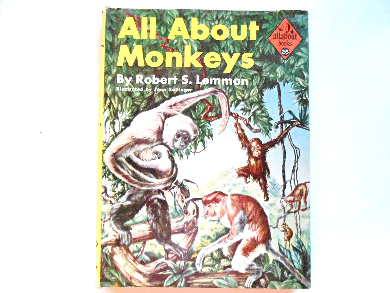 All About Monkeys, a Vintage Children's Book - Etsy