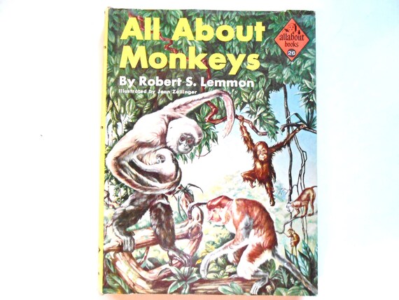 All About Monkeys a Vintage Children's Book | Etsy