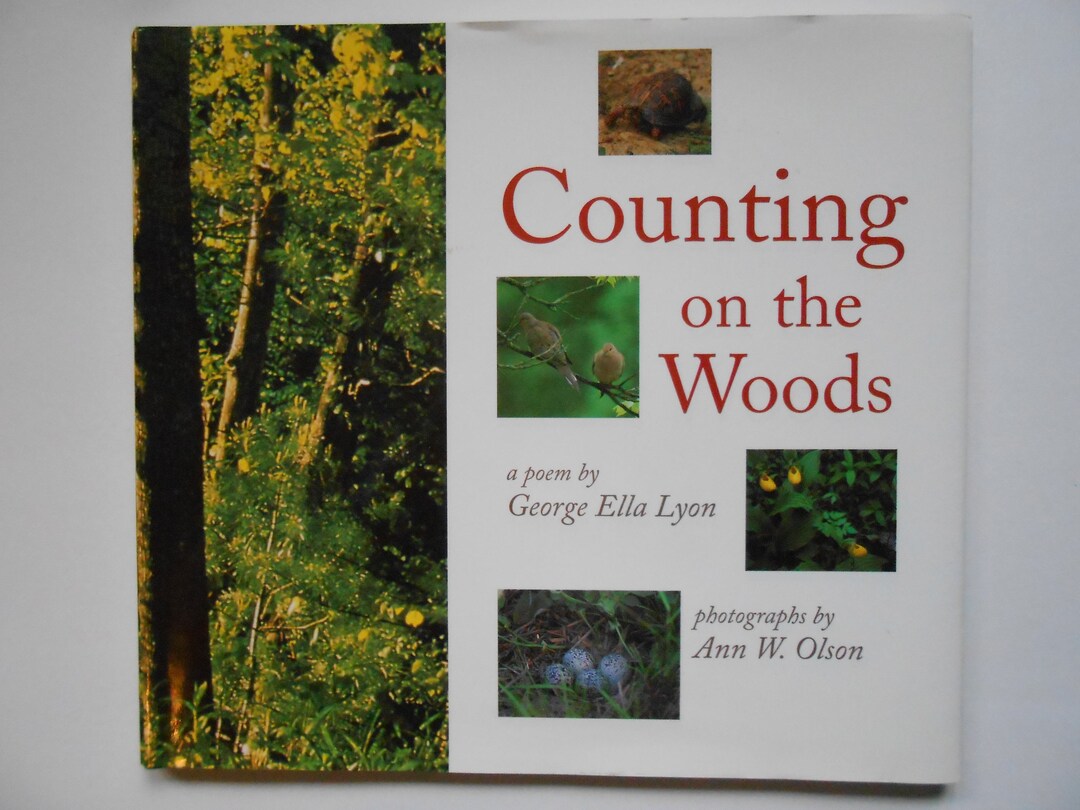 Counting on the Woods, a Vintage Poetry Book by George Ella Lyon - Etsy