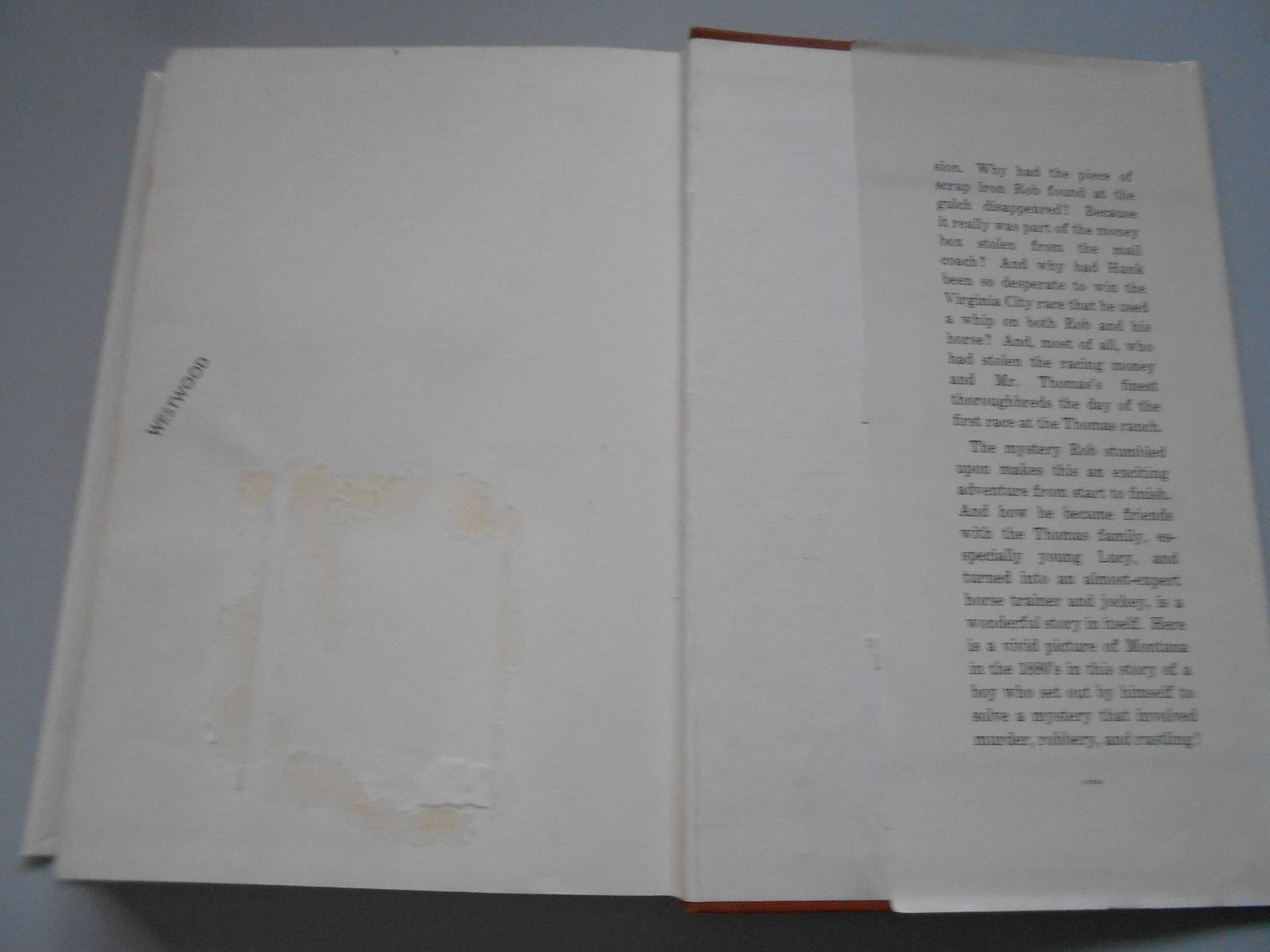 Mystery of Wild Horse Trap a Vintage Children's Book by - Etsy