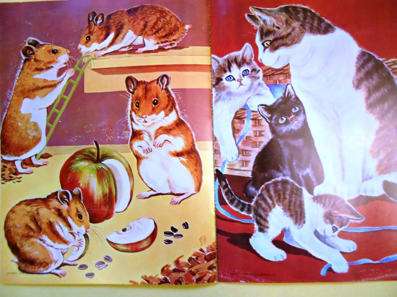 Our Pets a Vintage Children's Book Hayes School - Etsy