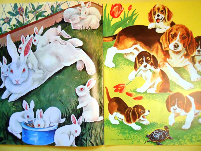 Our Pets a Vintage Children's Book Hayes School - Etsy