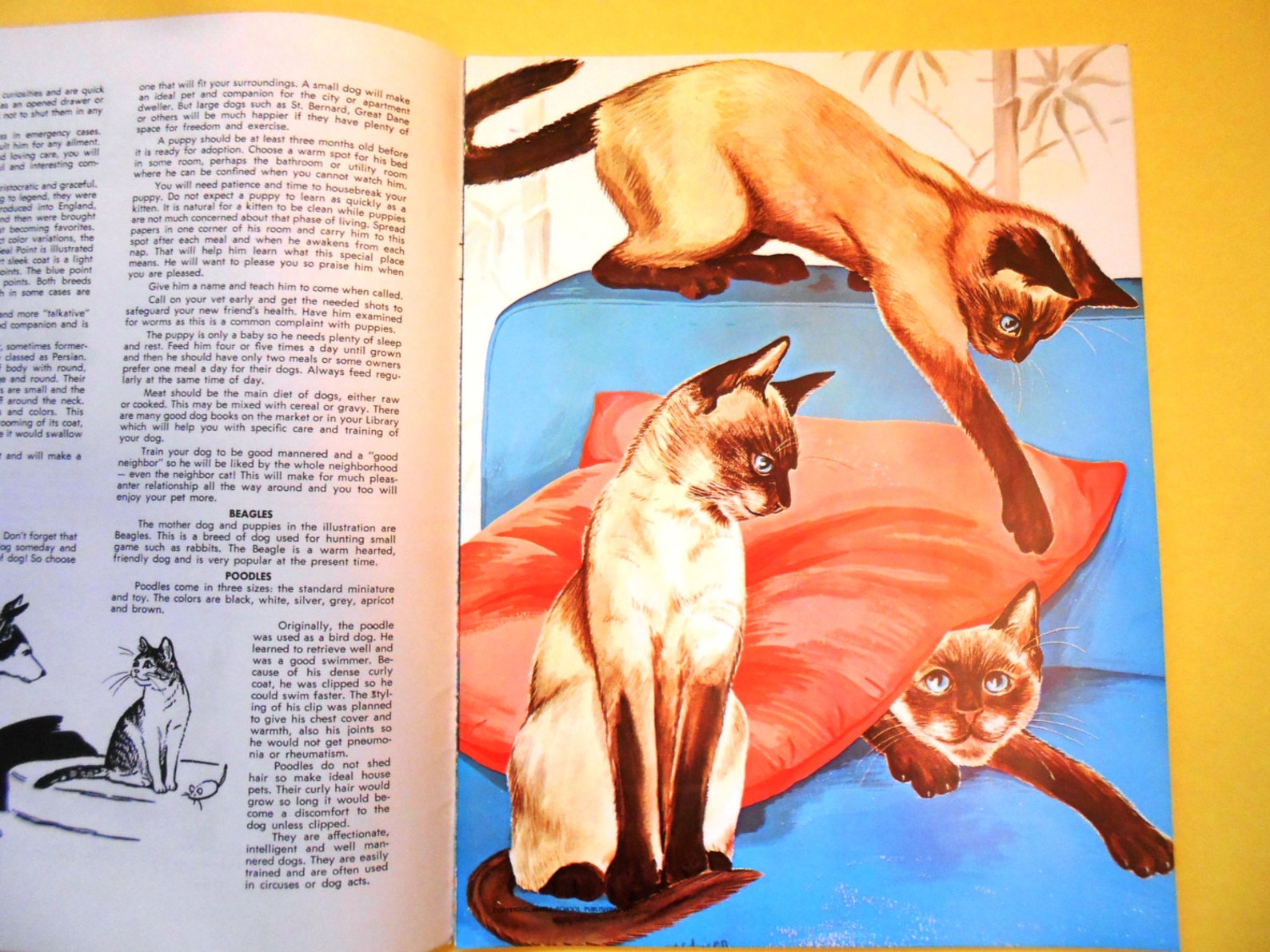 Our Pets a Vintage Children's Book Hayes School - Etsy