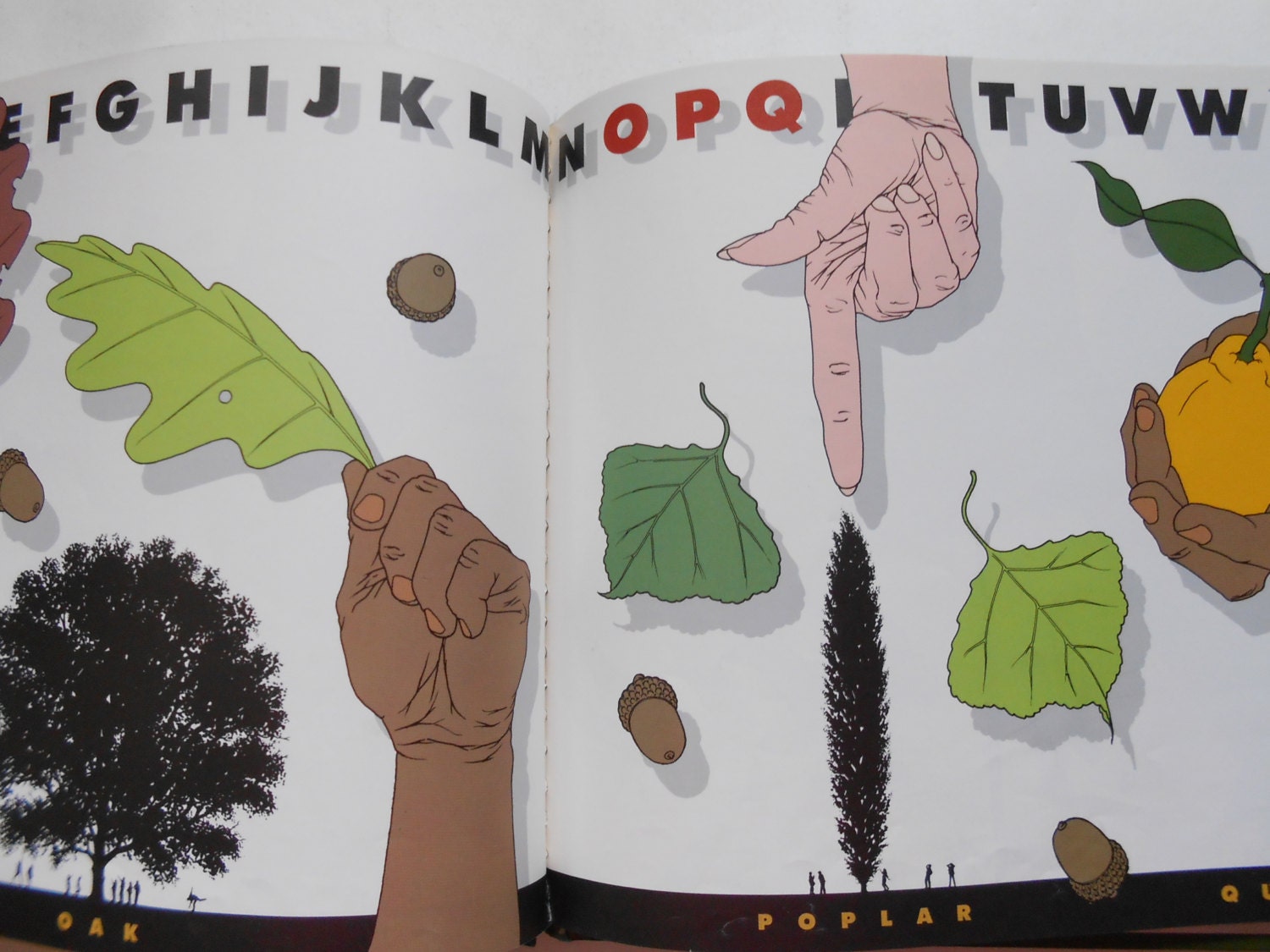 A B Cedar, an Alphabet of Trees, a Vintage Children's ABC Book - Etsy