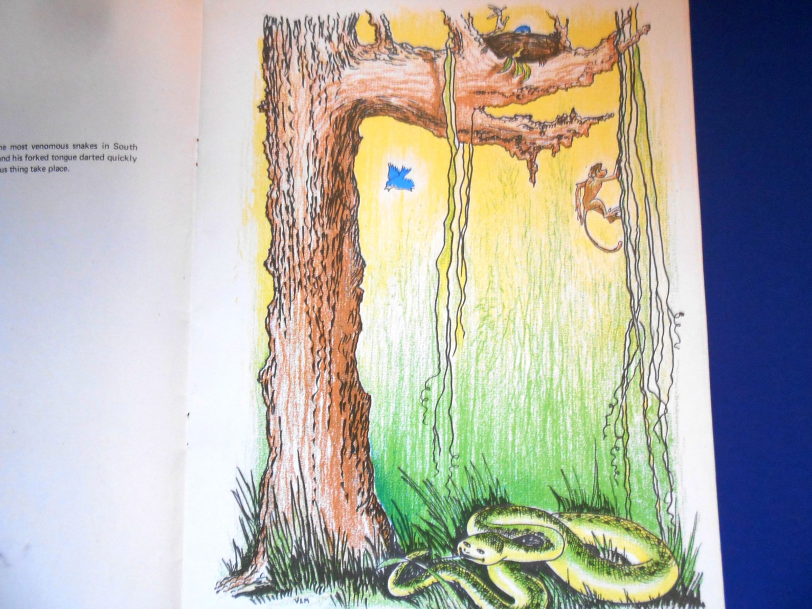 The Wise Little Bird, a Vintage Children's Gospel Booklet, Living ...