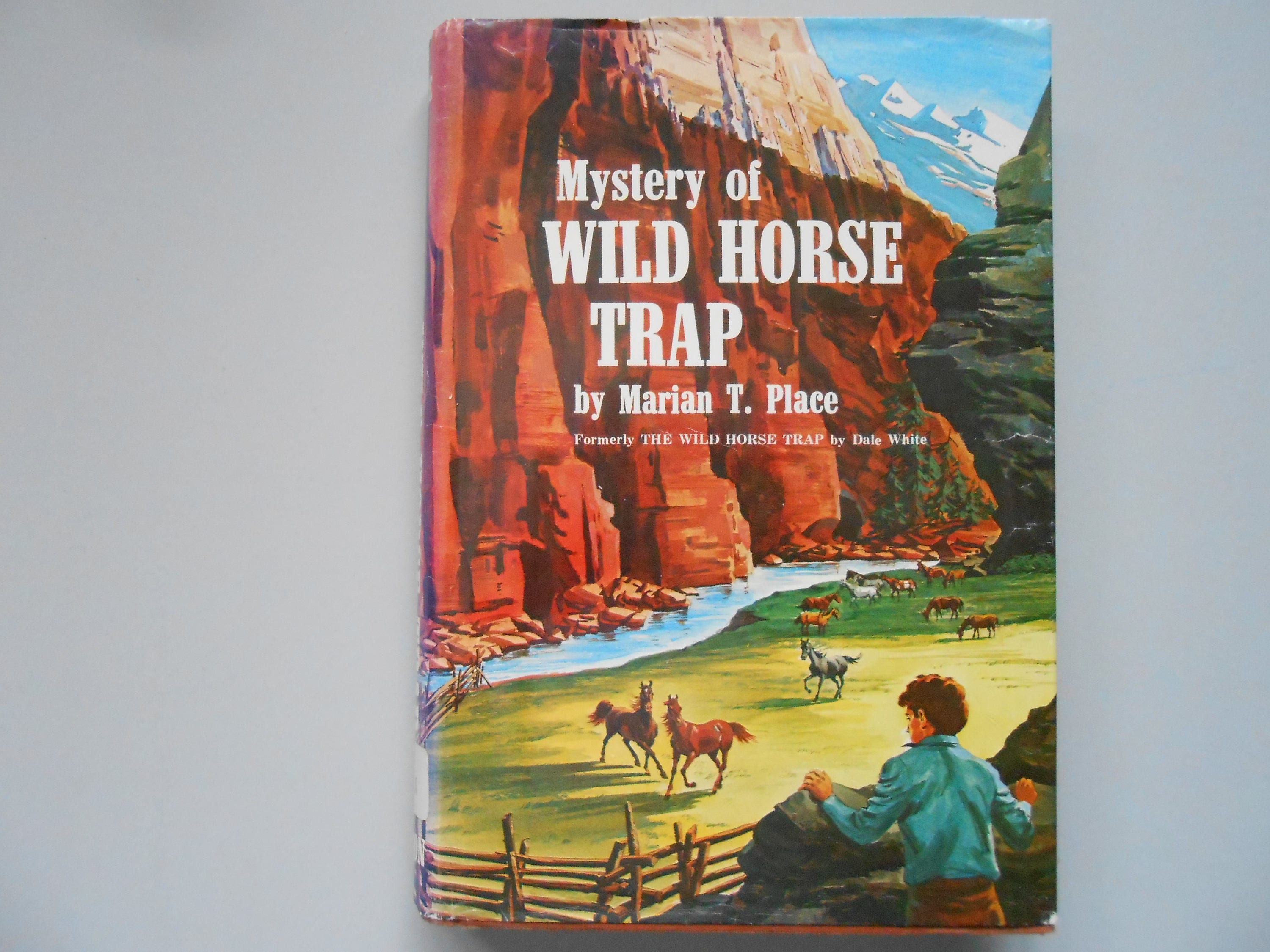 Mystery of Wild Horse Trap a Vintage Children's Book by - Etsy