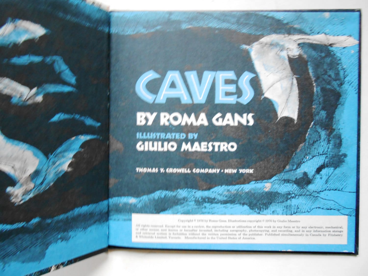 Caves, a Vintage Children's Book by Roma Gans - Etsy