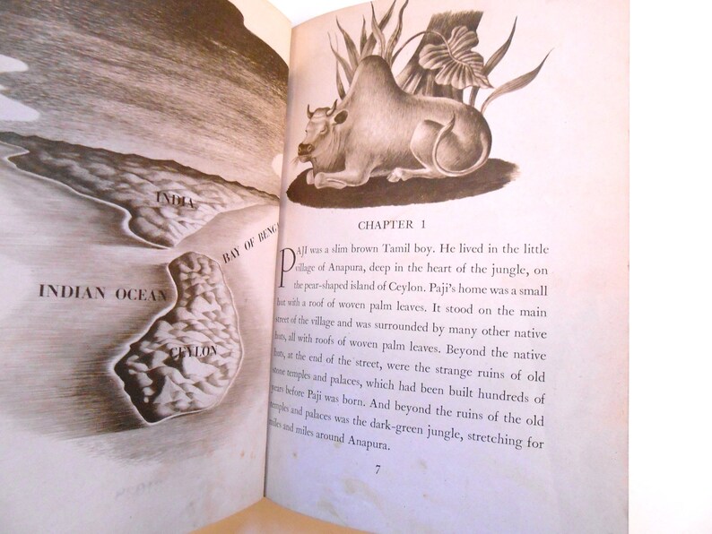 Paji, a Vintage Children's Book, Ceylon, 1940s - Etsy