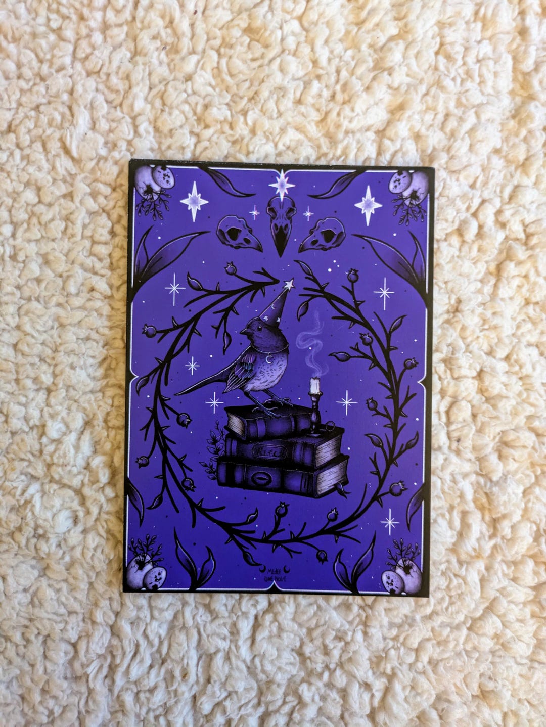 Animal & Magic Postcard - Wizard Bird - Etsy