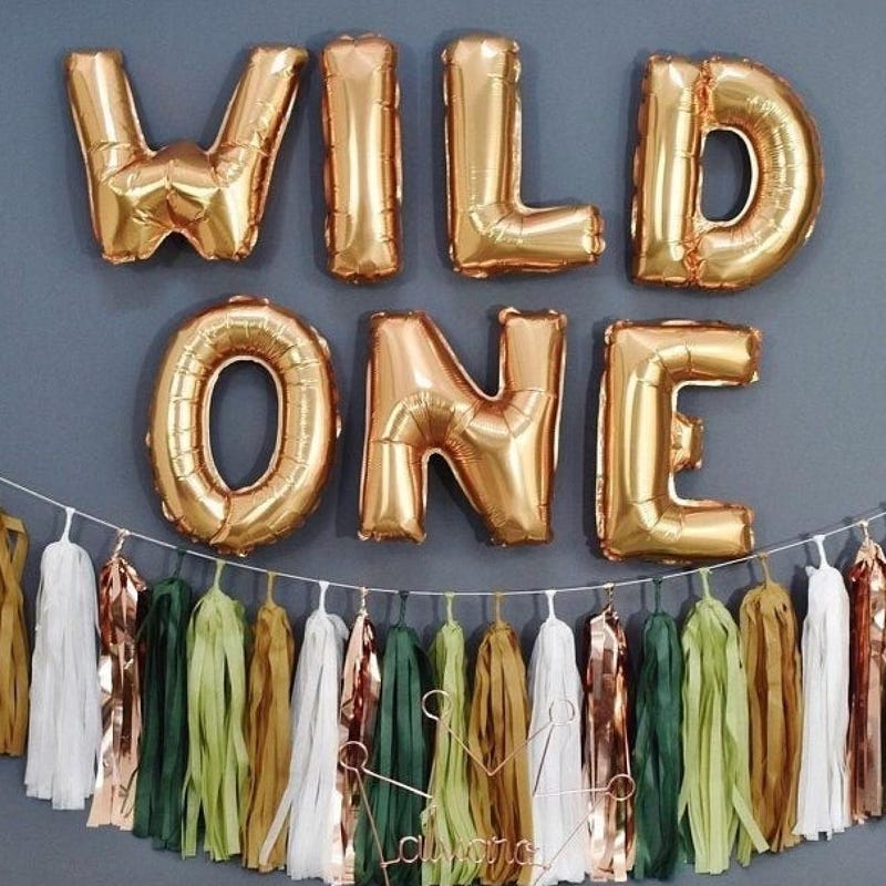 Wild One Banner - Etsy