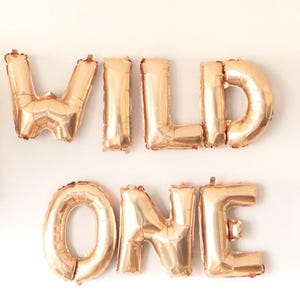 WILD ONE Birthday Party Balloon Banners - Gold, Silver and Rose Gold - Etsy
