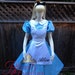 Merida Version A Brave Inspired Costume Adult Screen Quality - Etsy