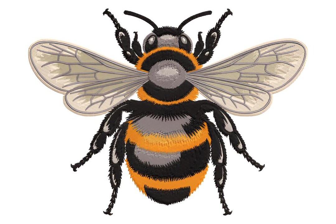 Realistic Bumblebee Embroidery Design – Detailed Bee Embroidery Pattern ...