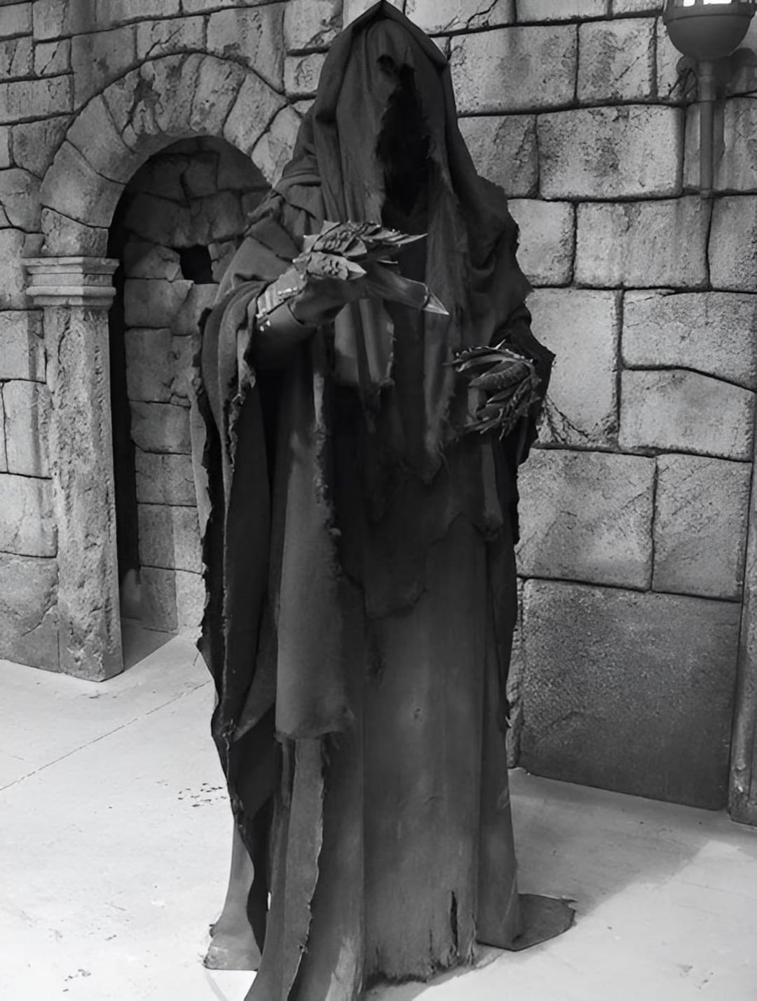 Nazgul Full Costume Ring Wraith Costume/grim Reaper Long Cape Ring ...