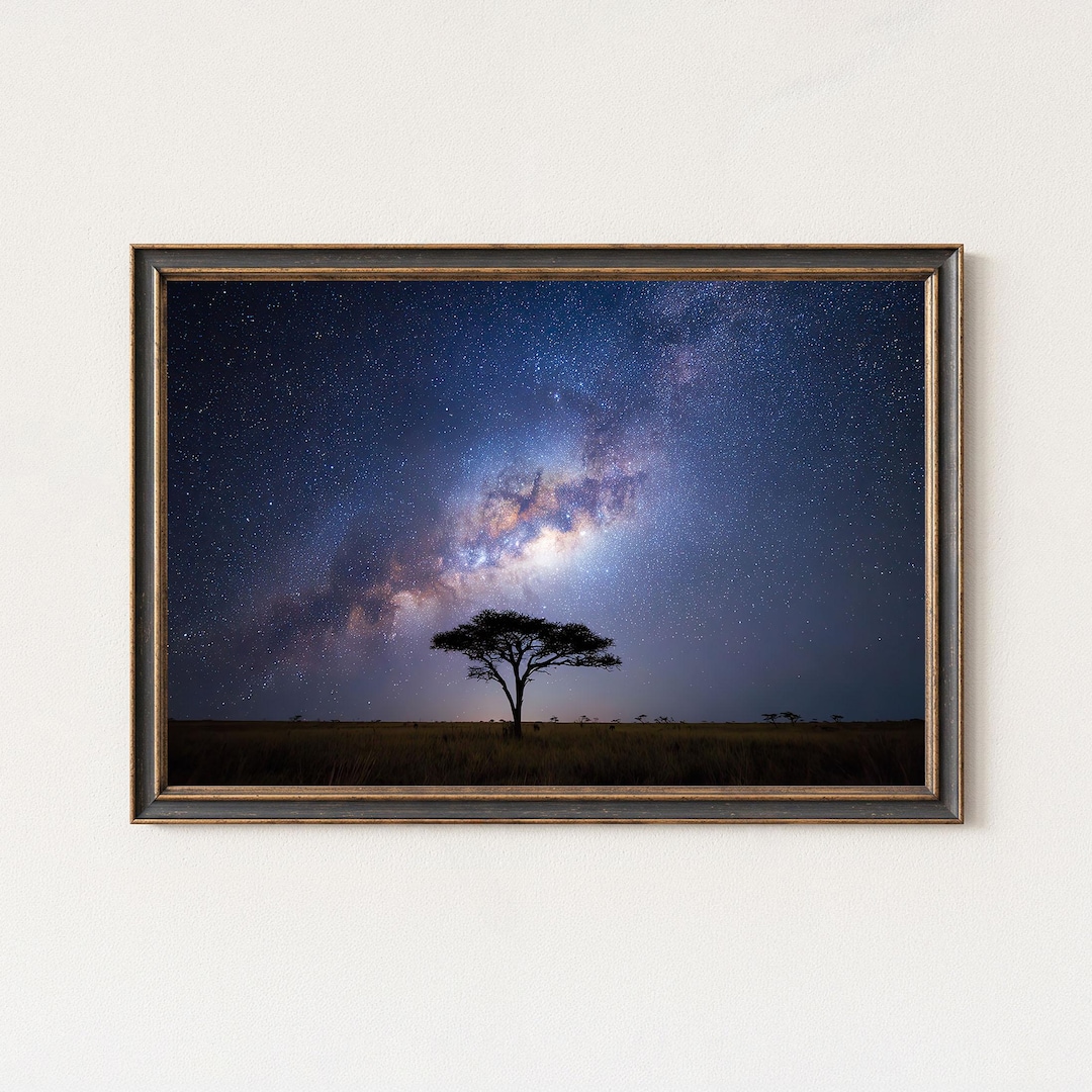Milky Way Over African Acacia Tree Night Sky Landscape Print - Etsy