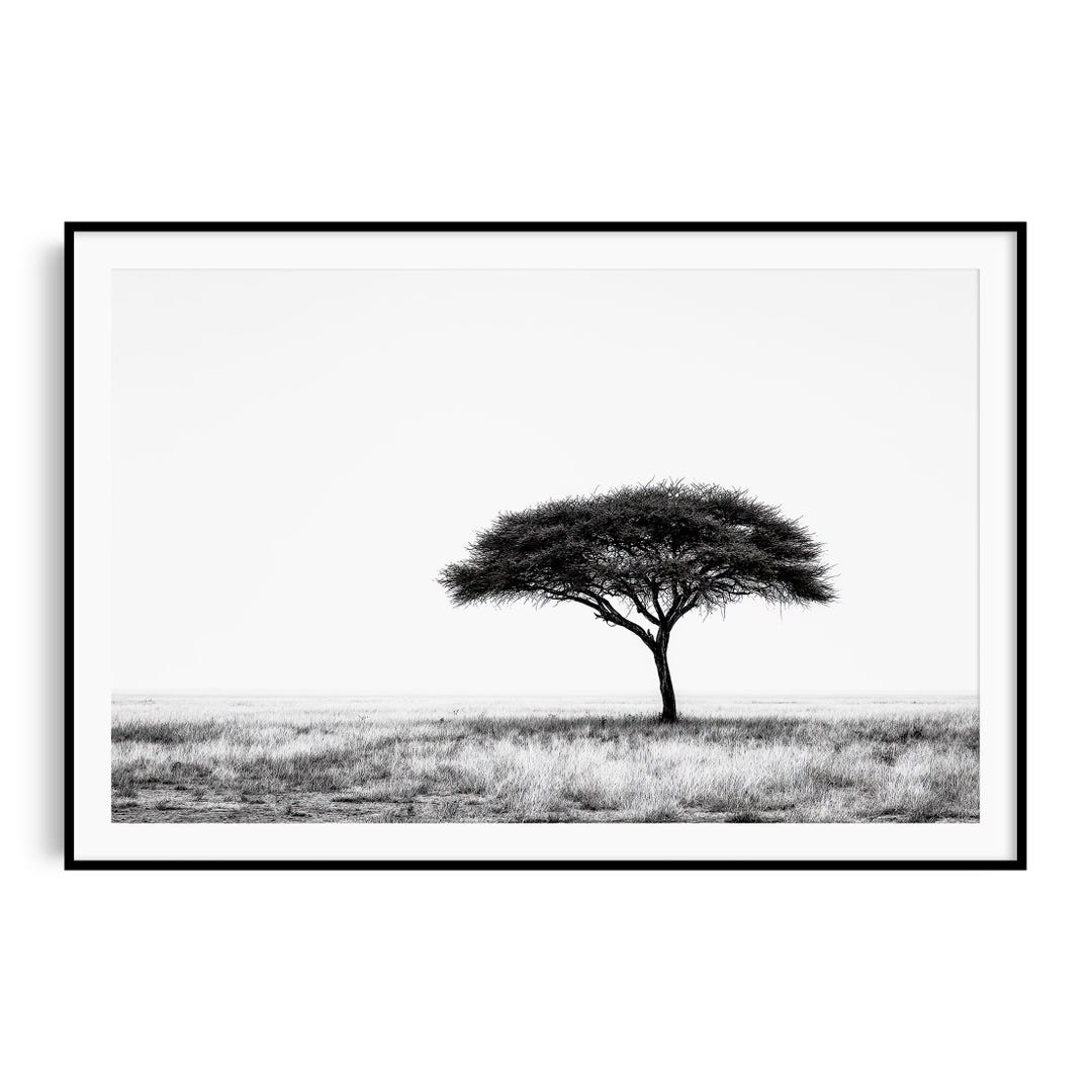 Black and White Tree Wall Art, Minimalist Nature Photography, Modern ...