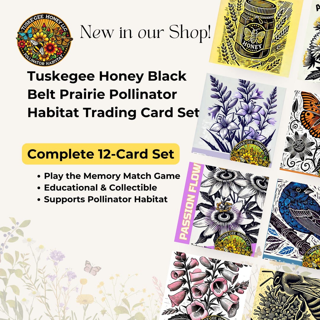 Tuskegee Honey Black Belt Prairie Pollinator Habitat Memory Match Game ...