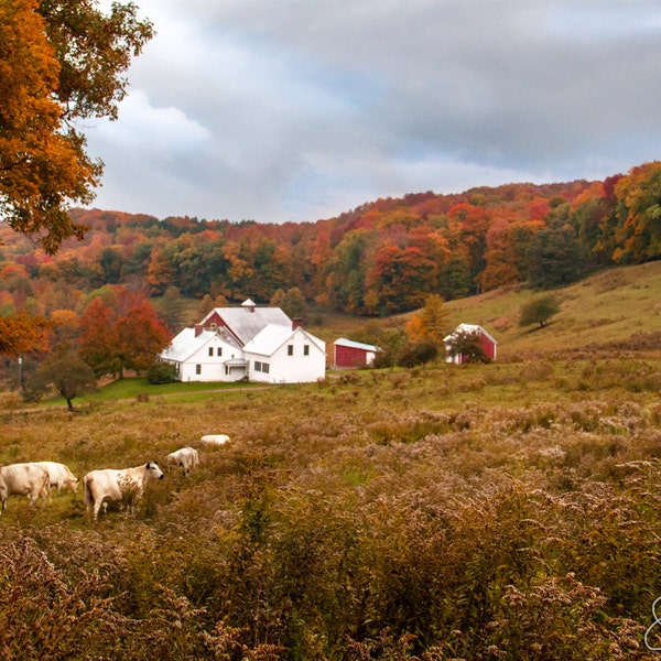 Farm in Fall Photography - Etsy