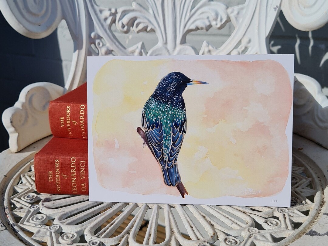 Watercolour Starling A4 Print - Etsy
