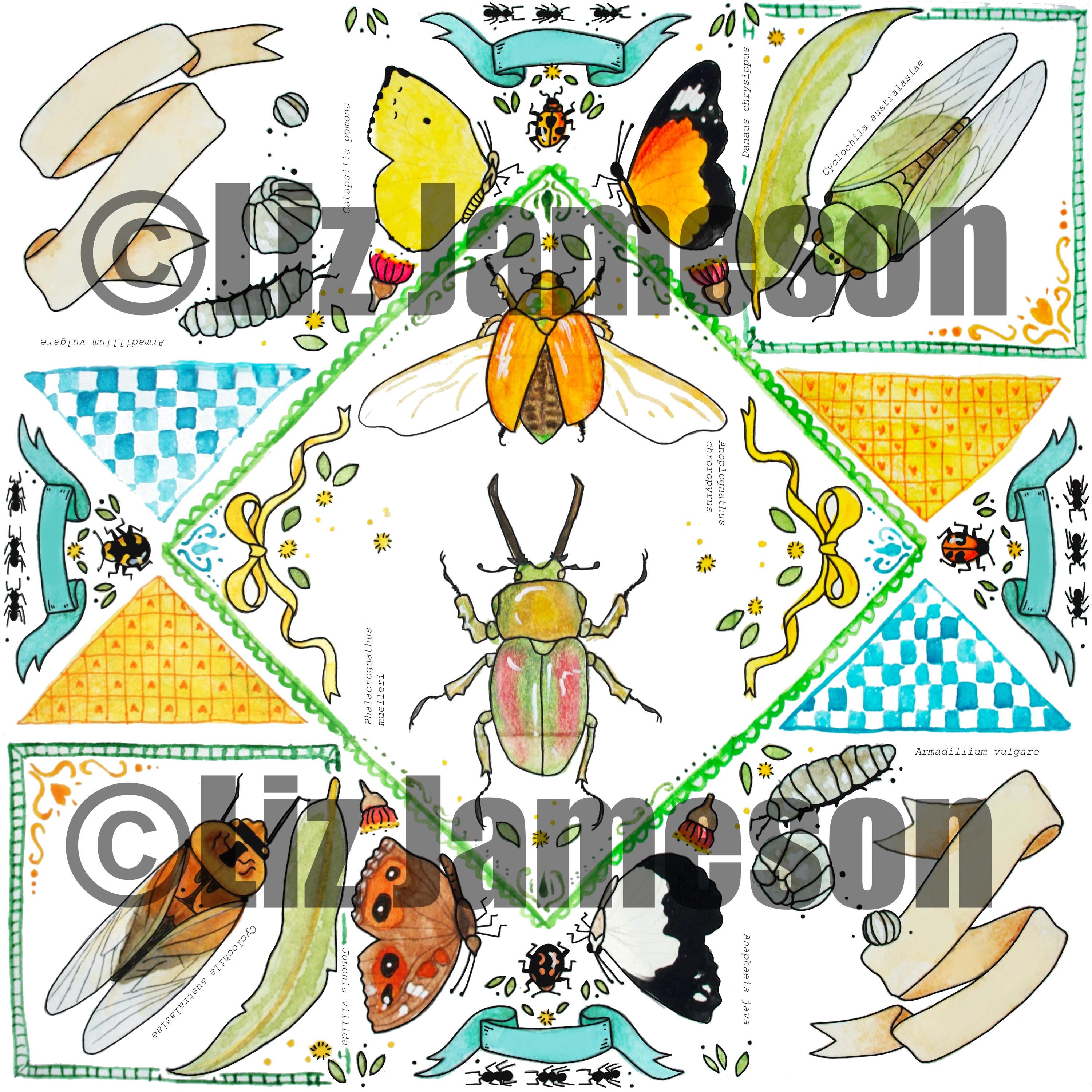 Victorian Puzzle Purse Template - Australian Native Insects - PDF Print ...