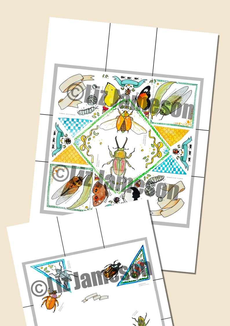 Victorian Puzzle Purse Template - Australian Native Insects - PDF Print ...