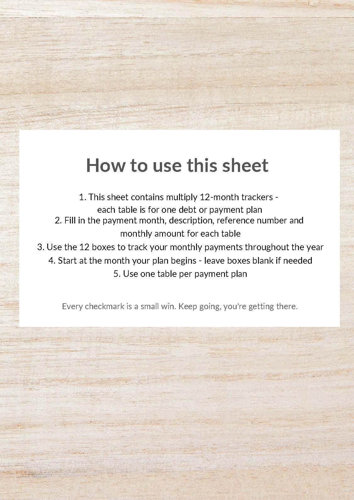 Debt Payment Tracker Printable | Grid Layout | Monthly Payment Log ...