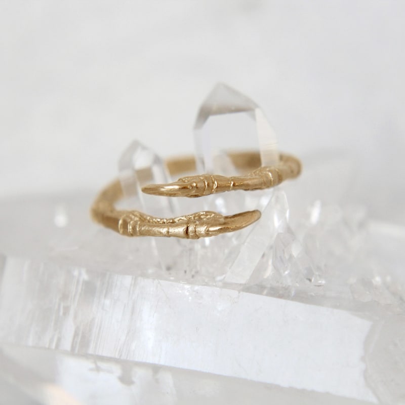 Bird Talon Ring - Etsy