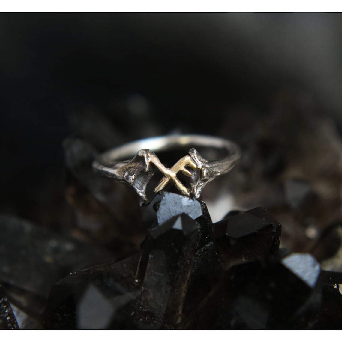 14k Gold Good Luck Sigil Ring in Oxidized Sterling Silver of Nature ...