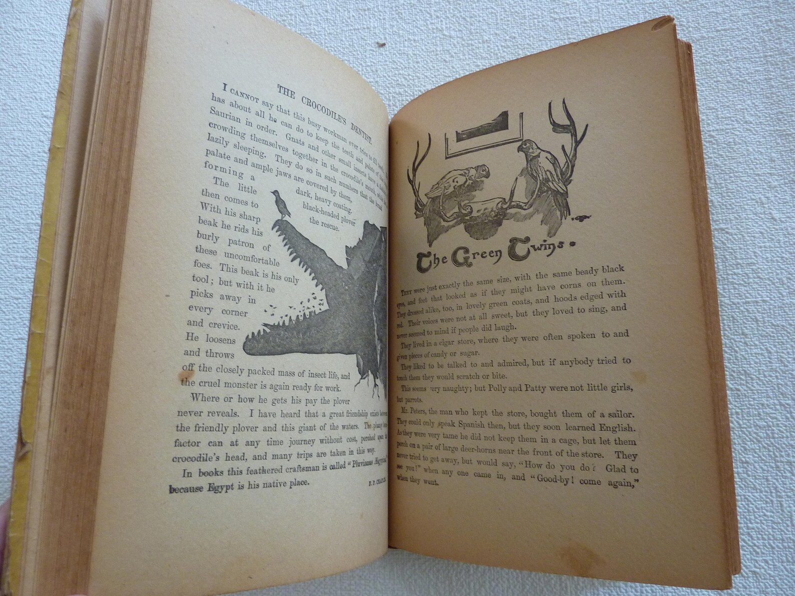 Playtime Stories Vintage Book Charles E. Graham & Co New | Etsy