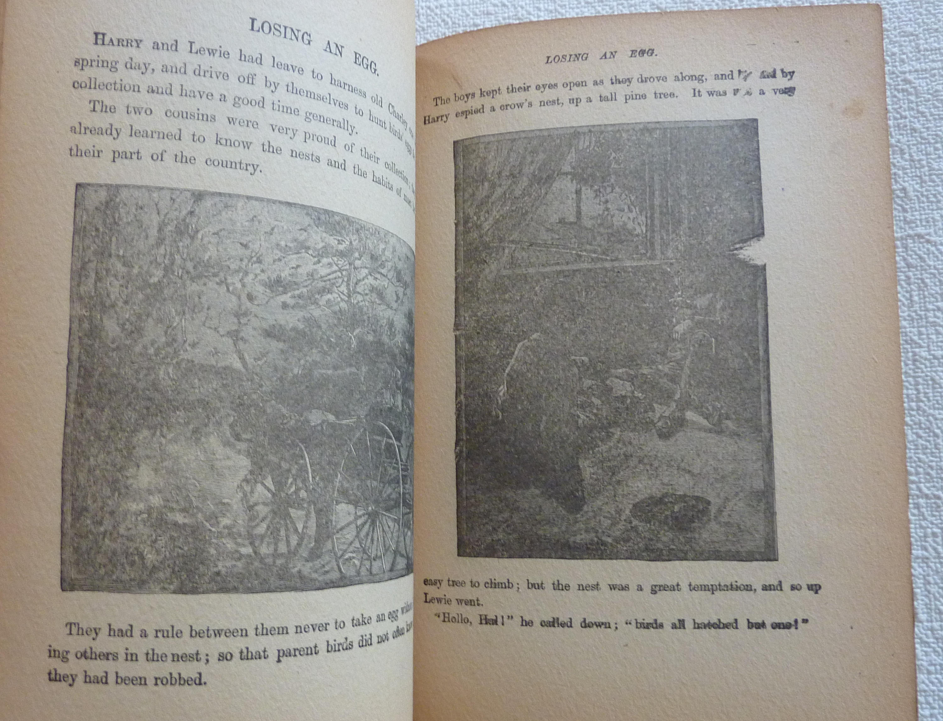 Playtime Stories Vintage Book Charles E. Graham & Co New | Etsy