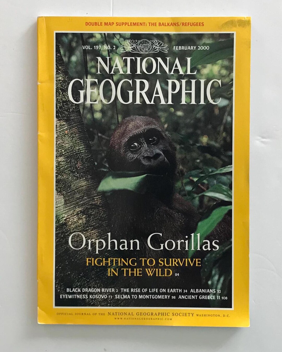 Vintage National Geographic Magazine, February 2000, Vol.197, No.2 ...