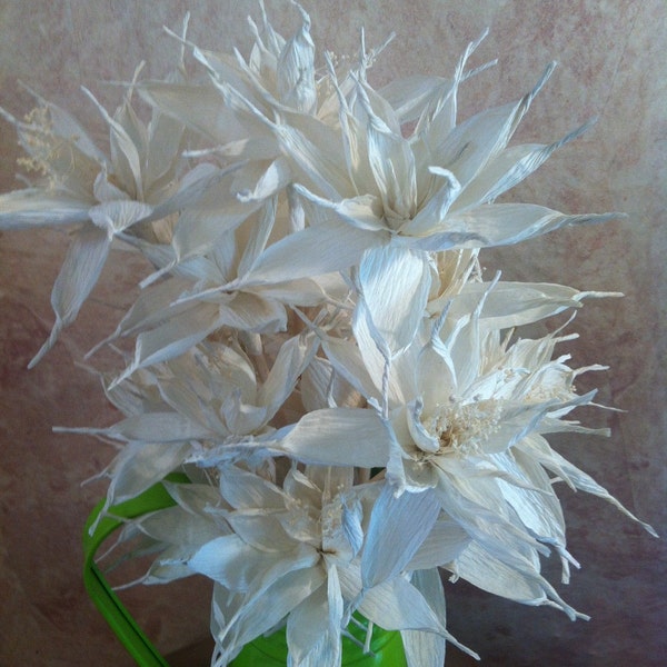 Peacock Pinata - Etsy