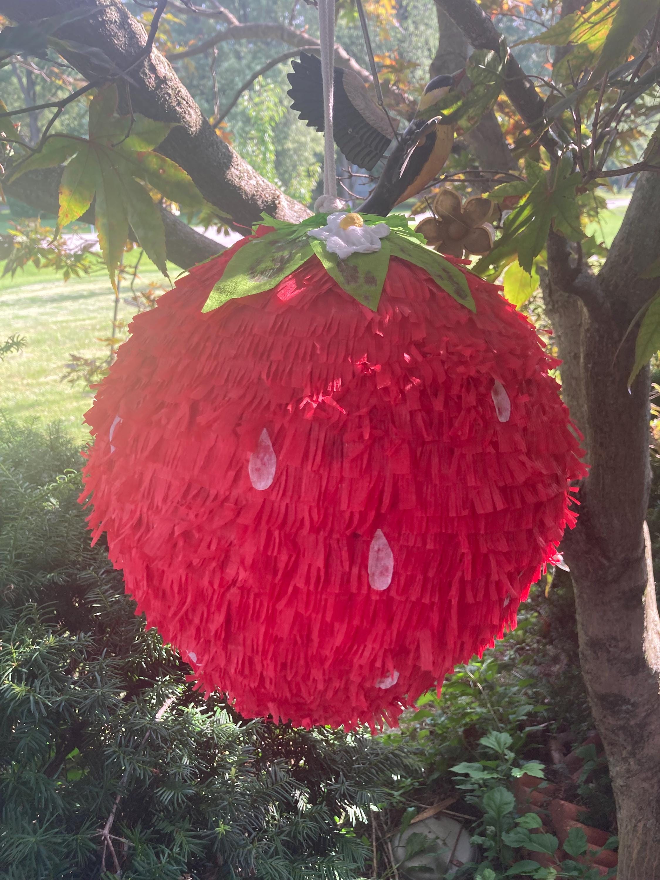 Strawberry Piñata- Small Fruit Piñata- Other Sizes by Request ...